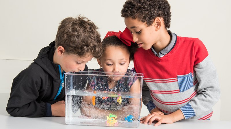 Operation Earth - The Association for Science and Discovery Centres