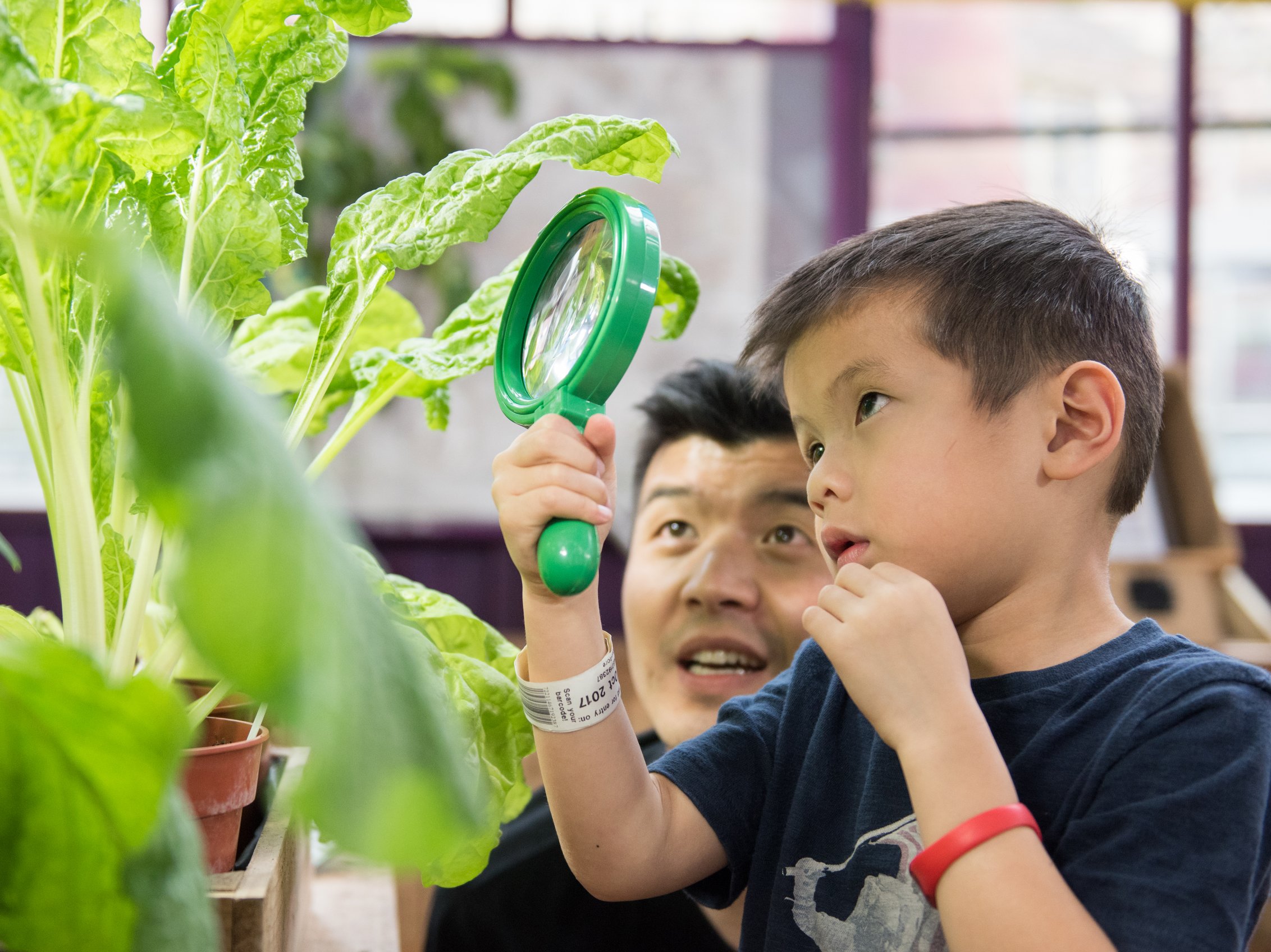 The Inspiring Science Fund - The Association for Science and Discovery ...